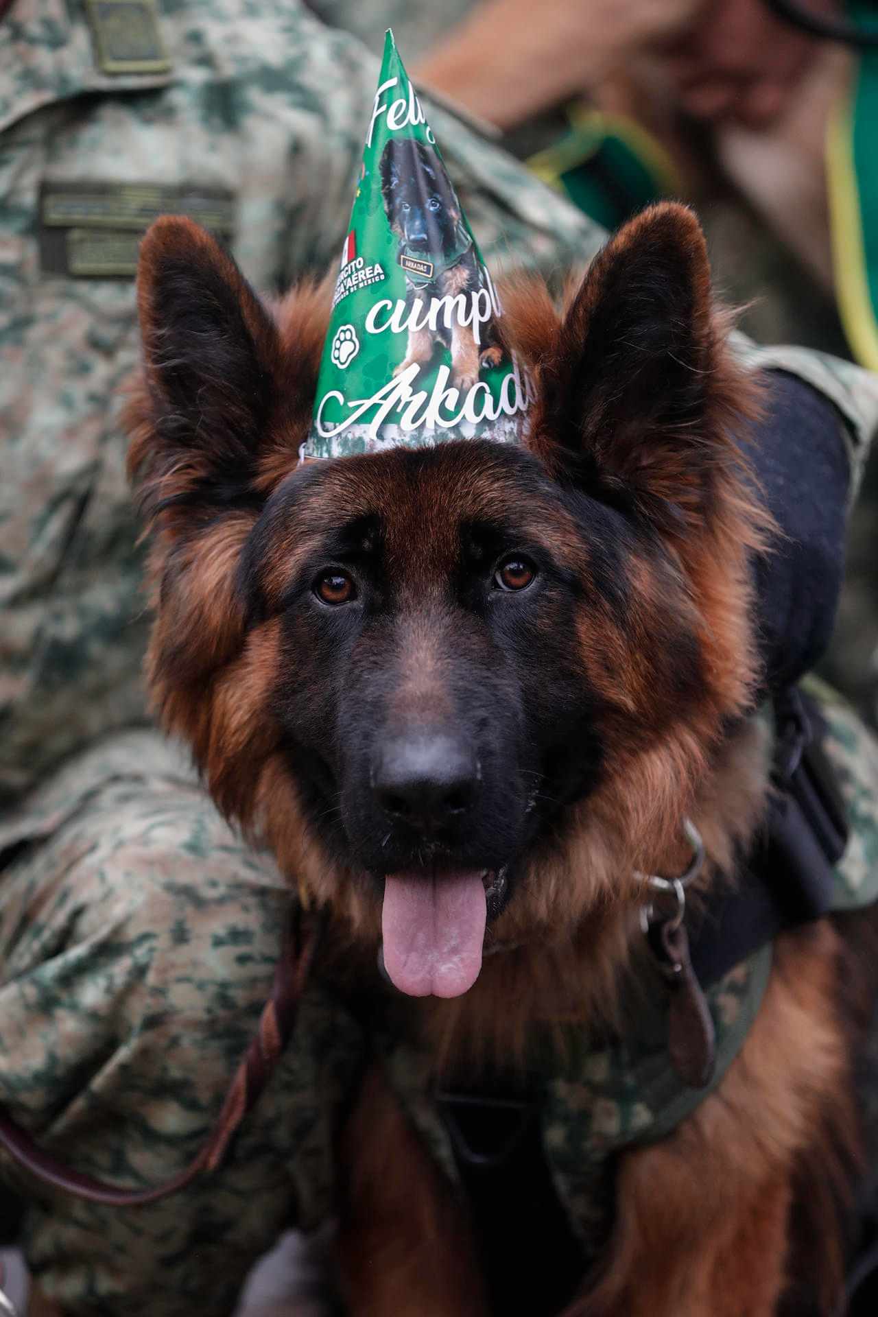 Ejército celebra cumpleaños de Arkadas, perro rescatista…