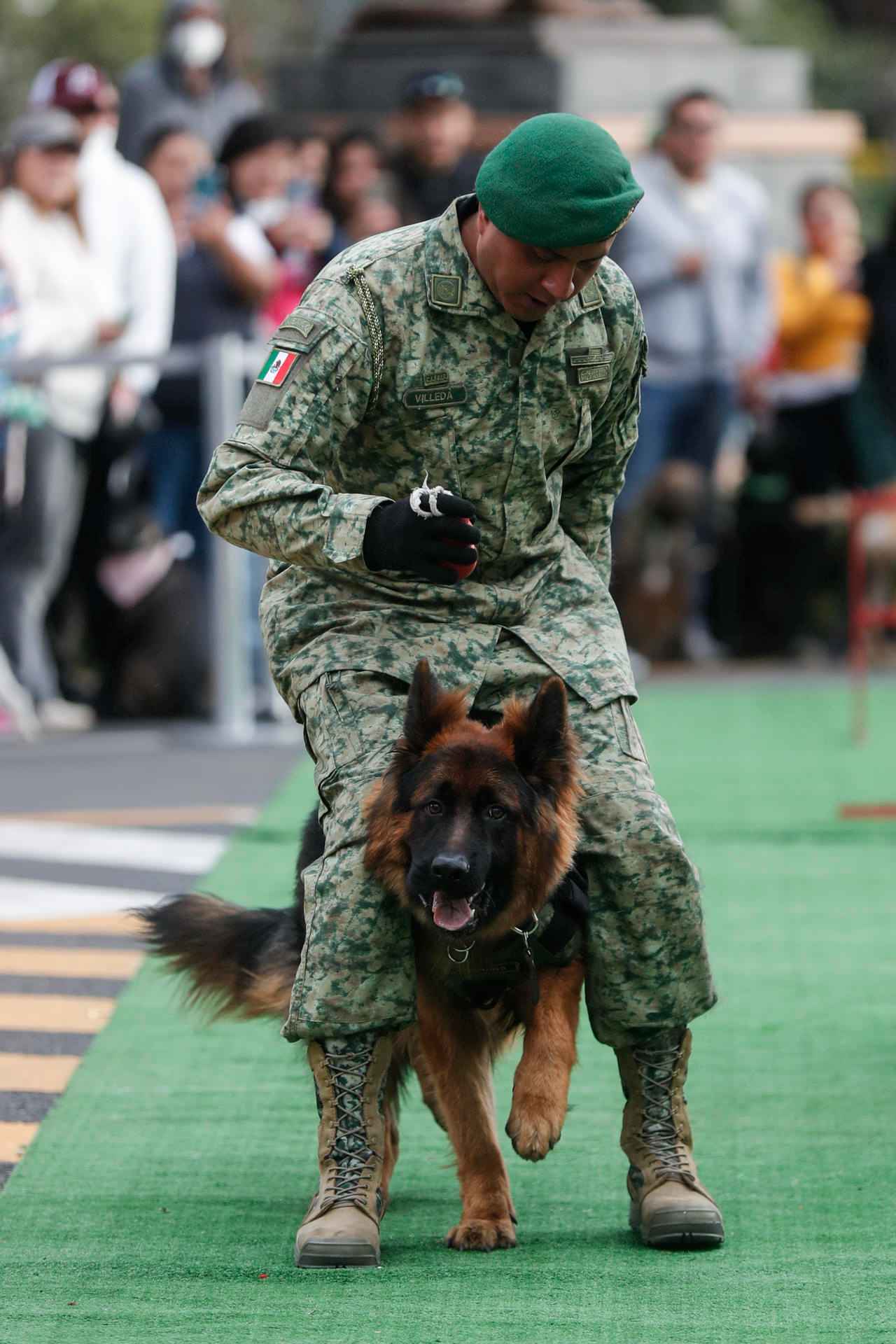 Ejército celebra cumpleaños de Arkadas, perro rescatista…