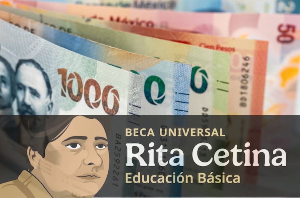 Cómo sacar la licencia de conducir permanente en PDF gratis…